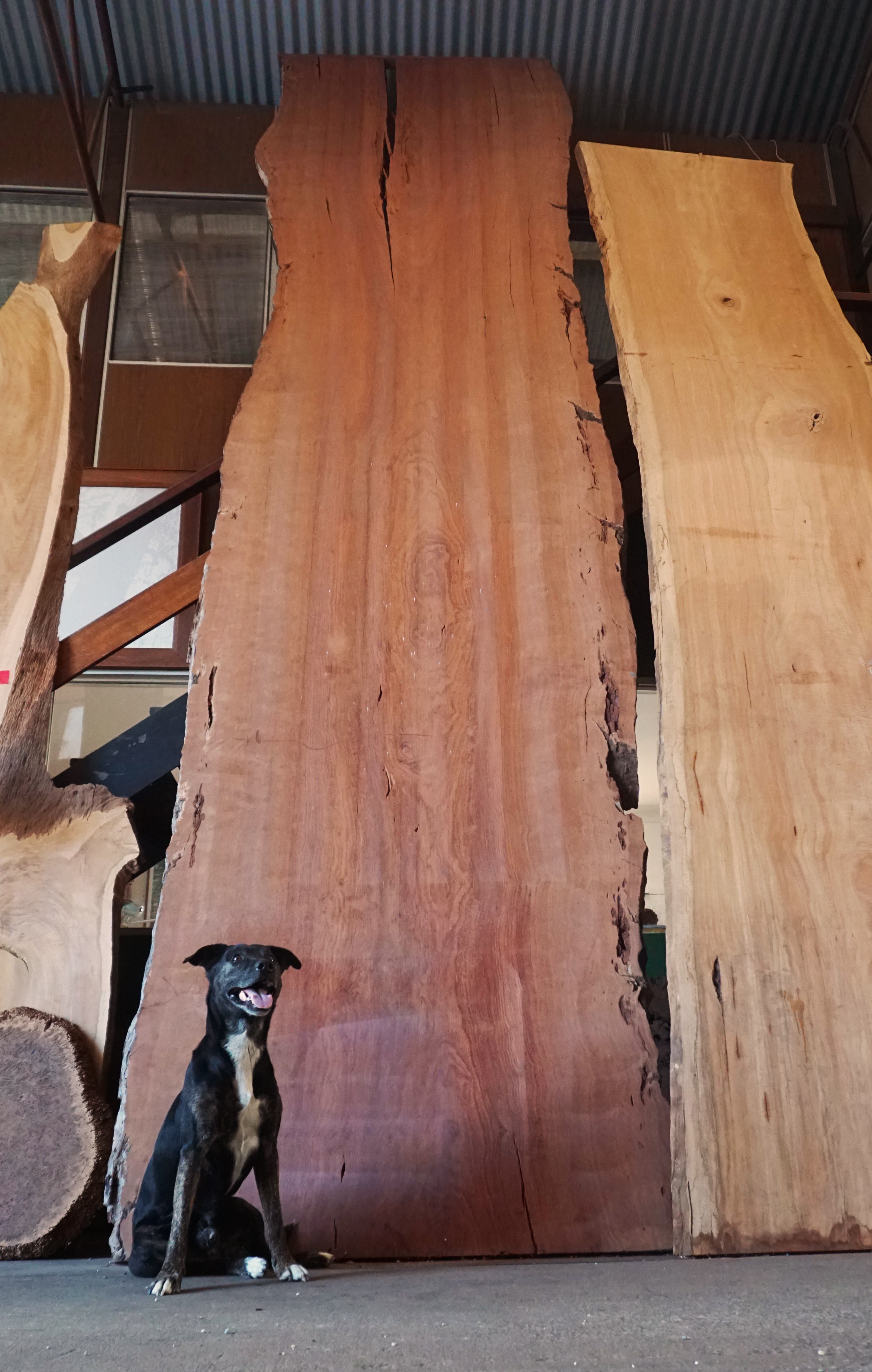 Bench & Tabletops – Fremantle Timber Traders